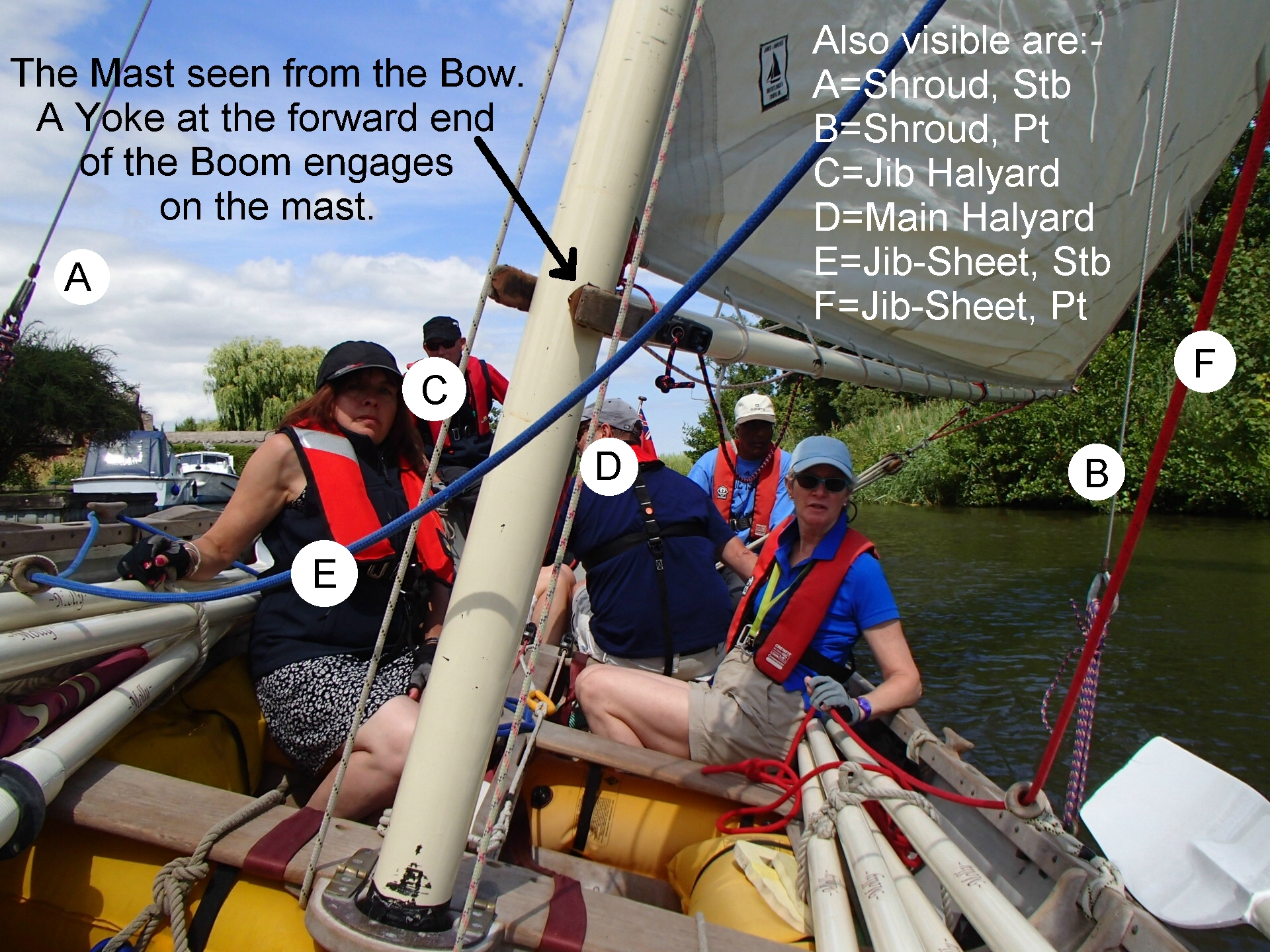 Molly Sailing Introduction 1